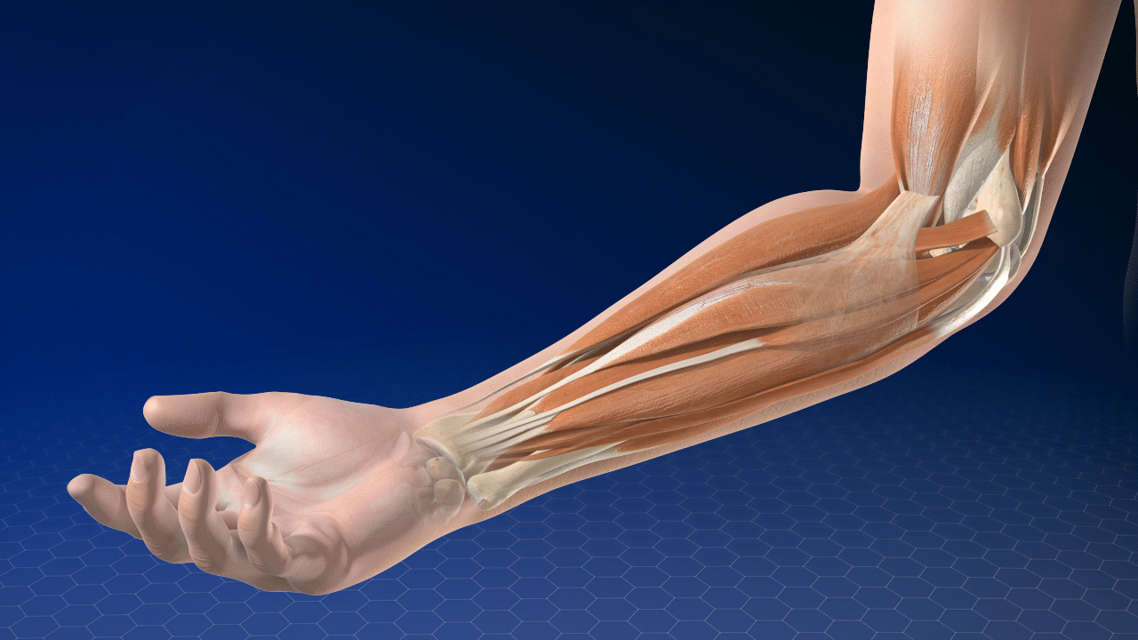 Surgical Hand & Wrist Treatments - CRMC